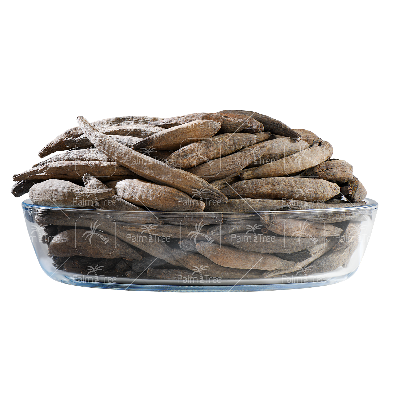 Marathi Moggu / Kapok Buds – palmtreeshopping