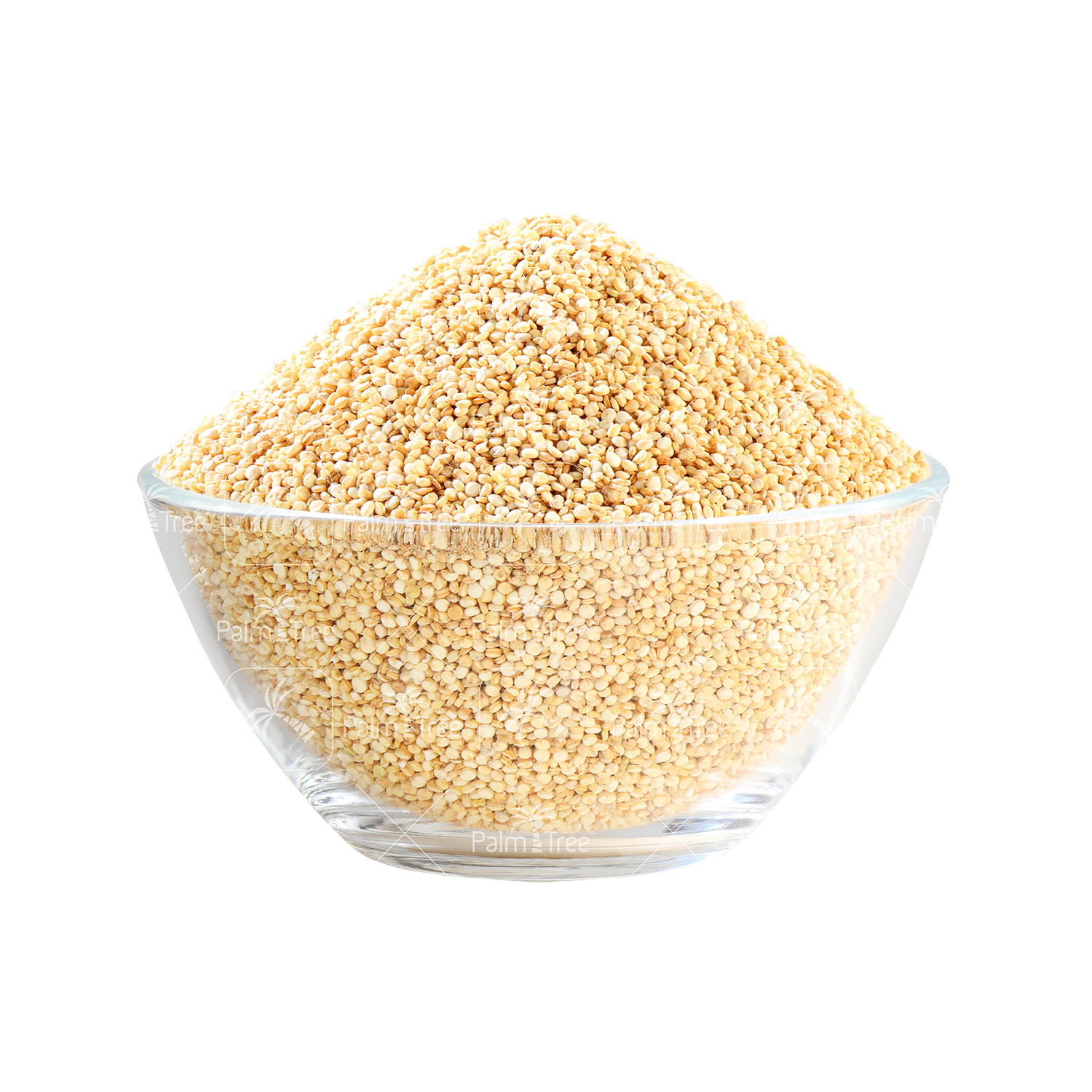 Quinoa Seed White – palmtreeshopping