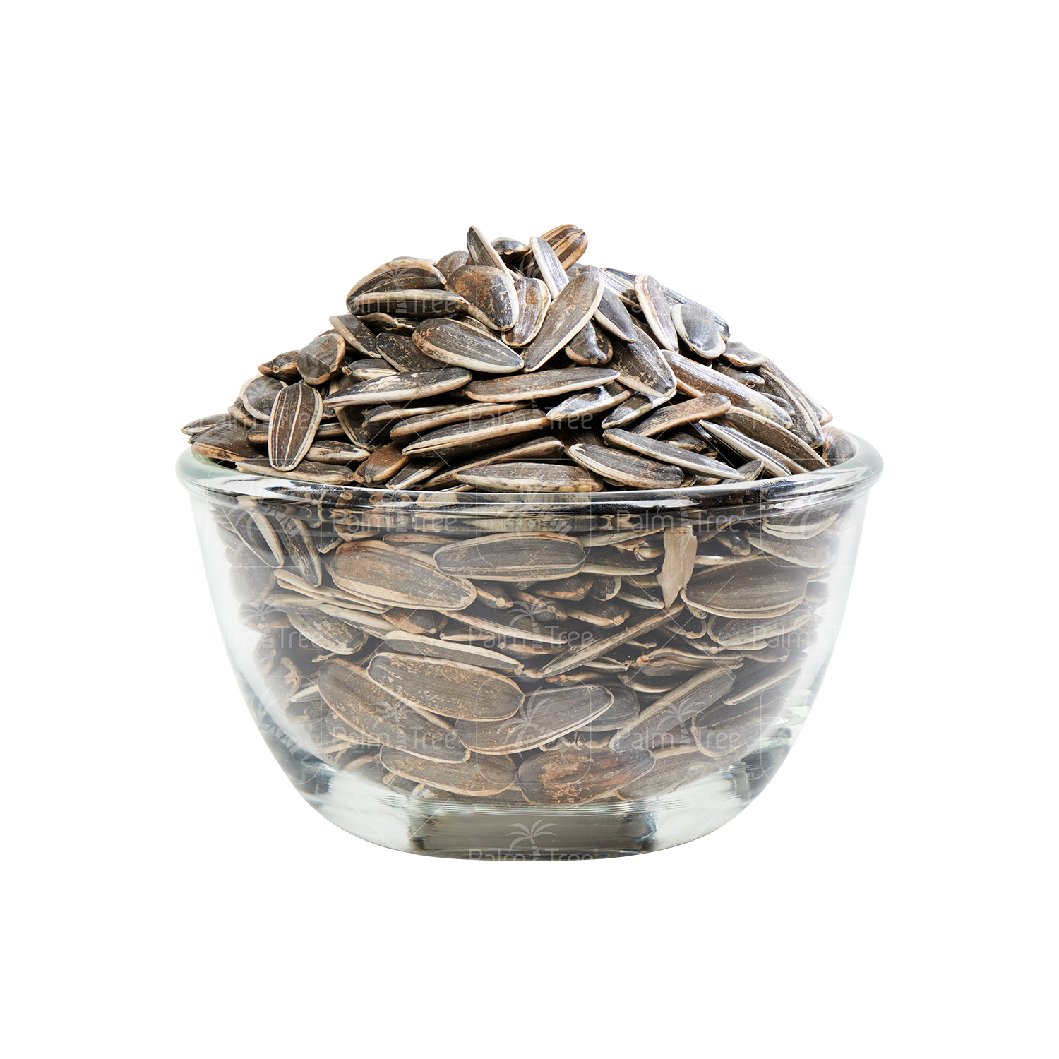 Sunflower Seed With Shell – palmtreeshopping